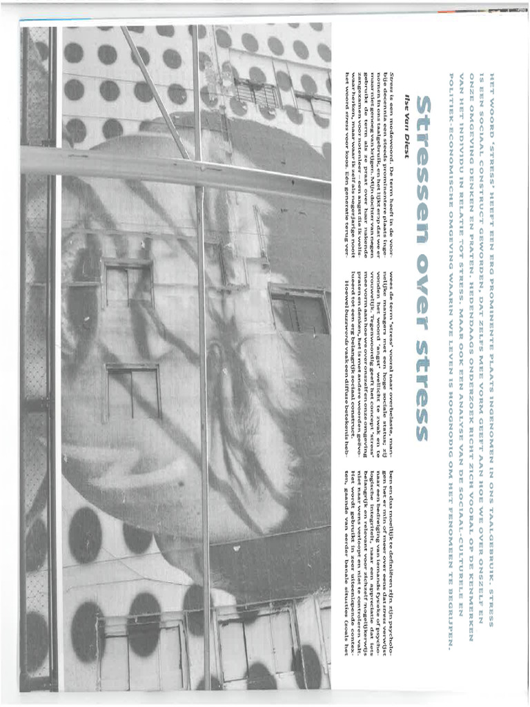 2014 Van Diest Stressen Over Stress | PDF