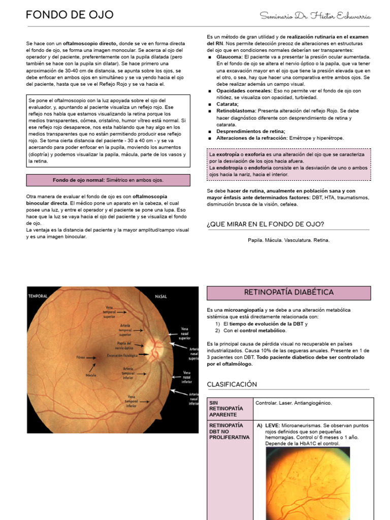 Fondo de Ojo | PDF | Ojo humano | Sentidos