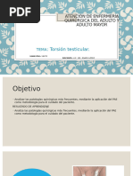 Anatomía del Escroto y Testículos | PDF | Testículo | Especialidades ...