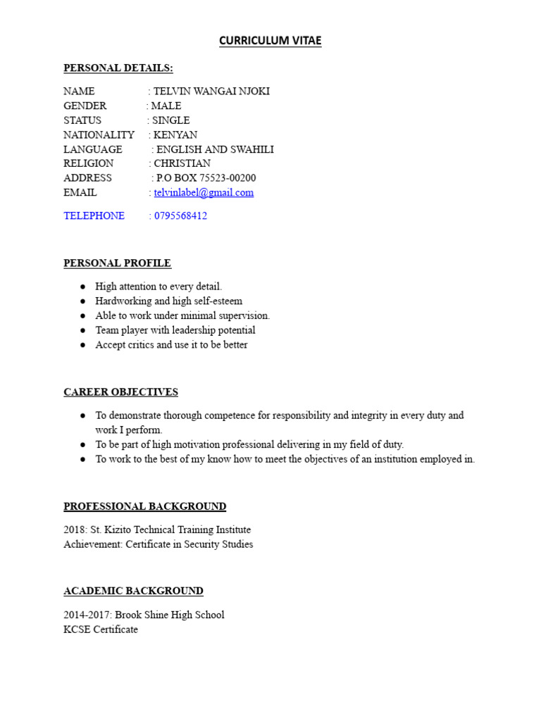 Telvin's Updated CV 2023 | PDF