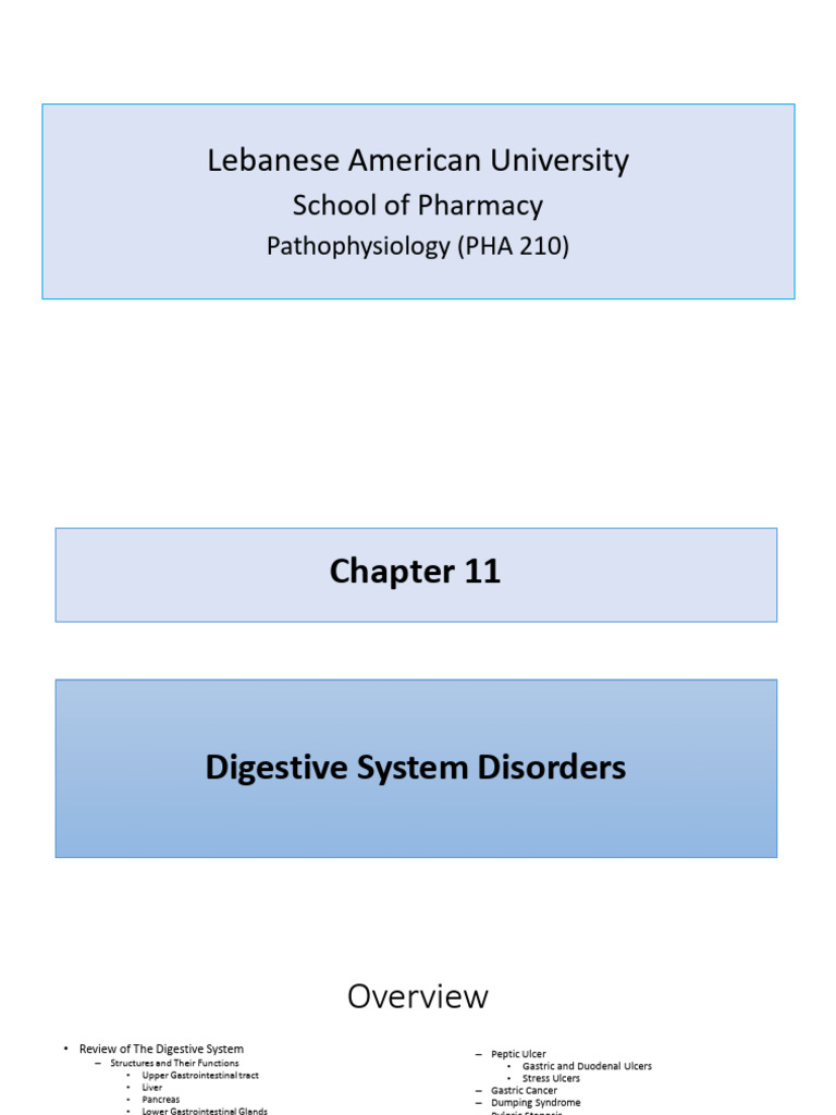 Chapter 11, Digestive System Disorders | PDF | Digestion | Stomach