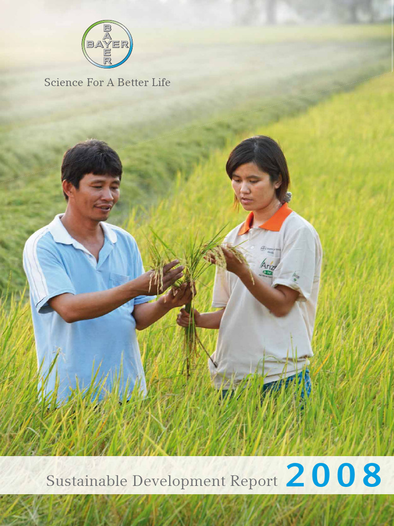 Sustainable Development Report 2008 Pdf Sustainability