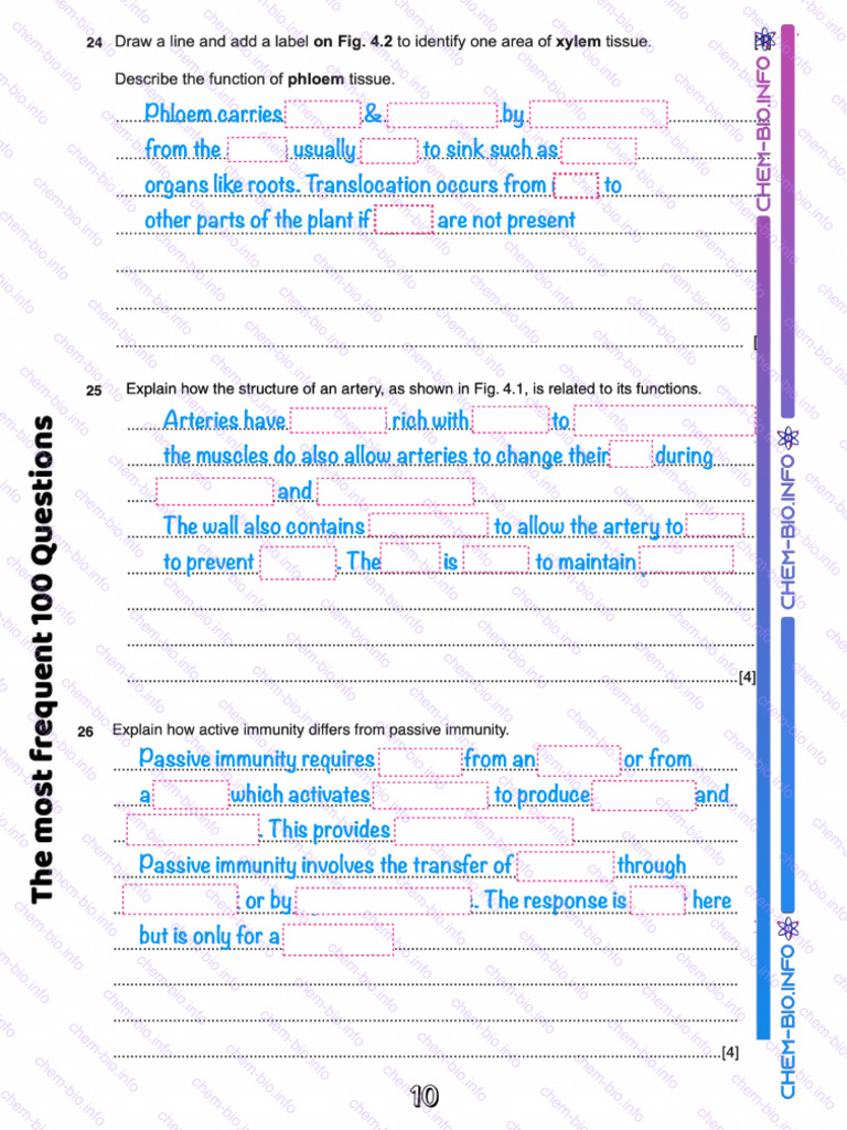 100 Most Frequent Questions Part 2 | PDF