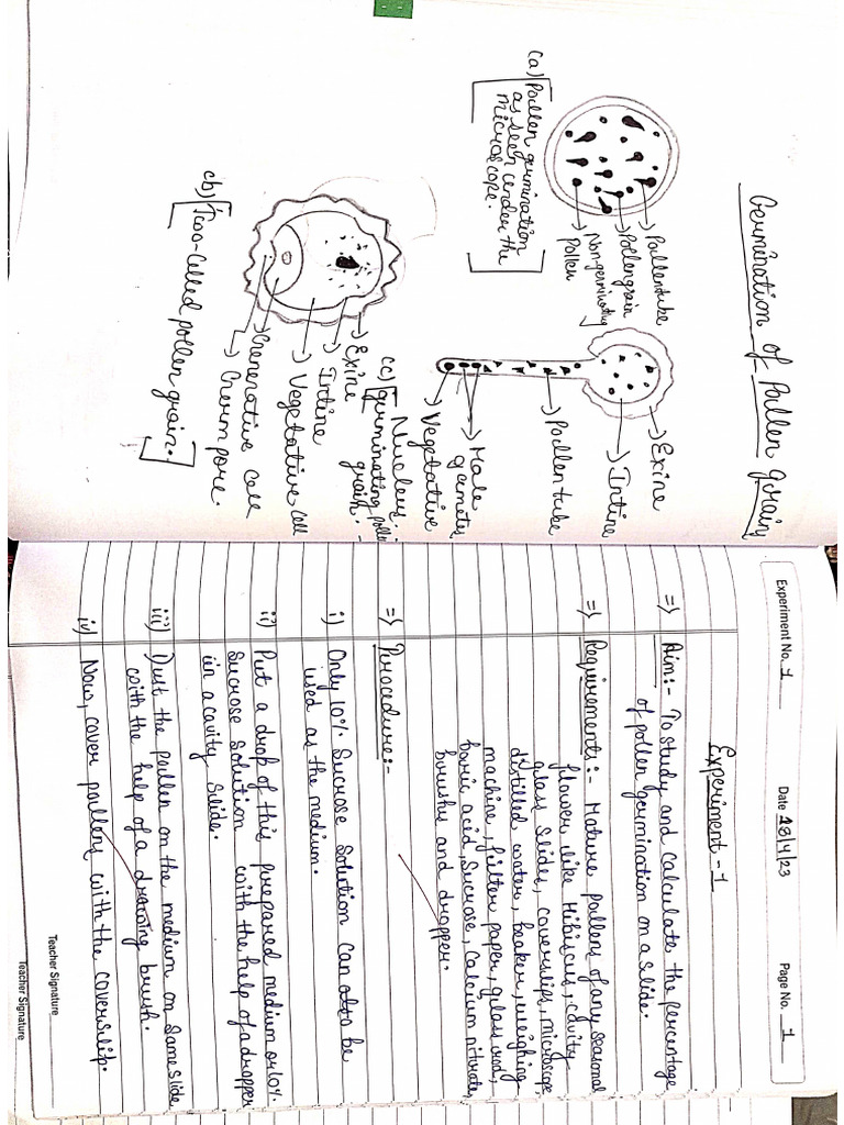 Biology Practical File | PDF