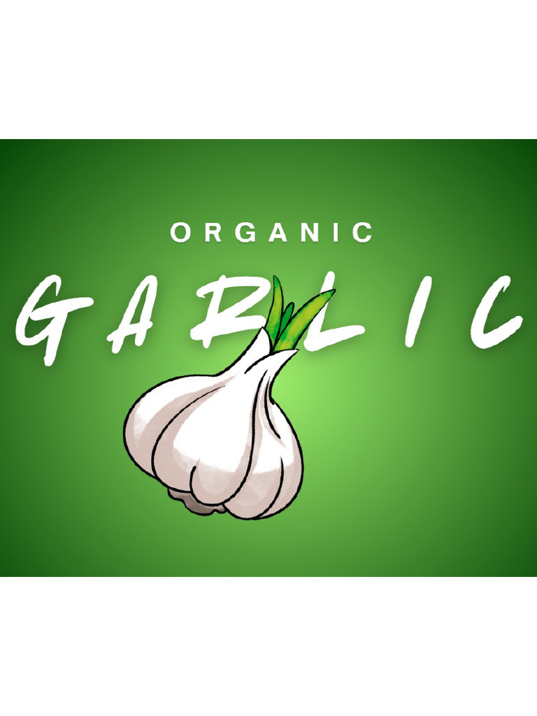 Organic Garlic | PDF