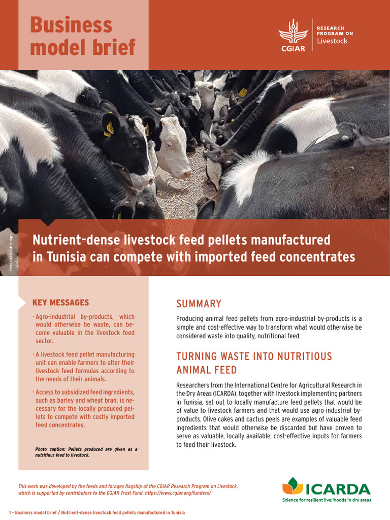 Business Model Brief December | PDF | Animal Feed | Agriculture