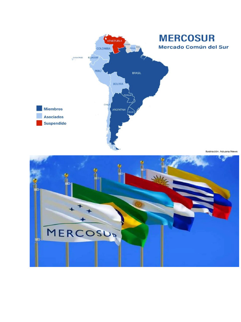 Mercosur | PDF