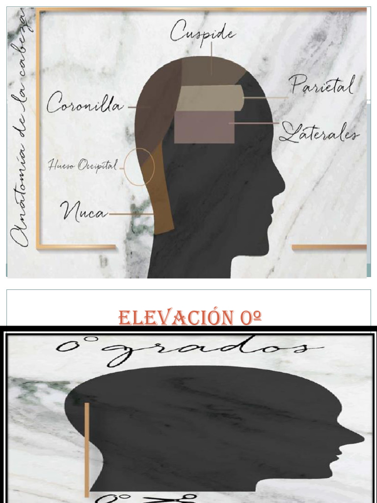 Niveles y grados de corte de cabello | PDF
