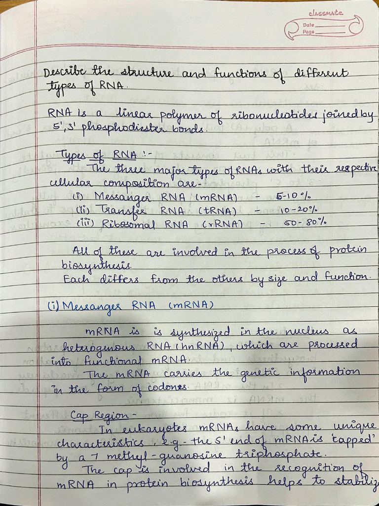 Library Assignment 250702 103824 | PDF