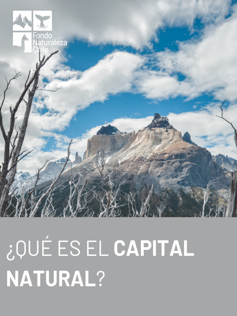 Definición de Capital Natural | PDF