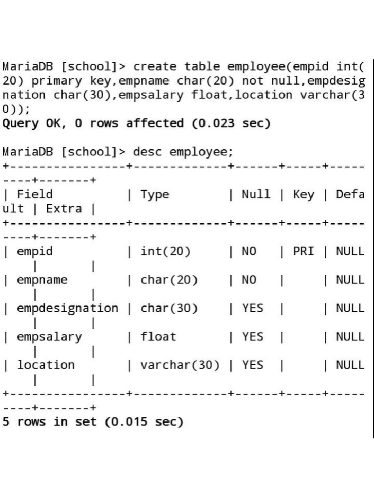 Information Technology Class 12 Mysql | PDF