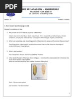 Biomanbio Succession Interactive | PDF | Flowers | Earth Sciences