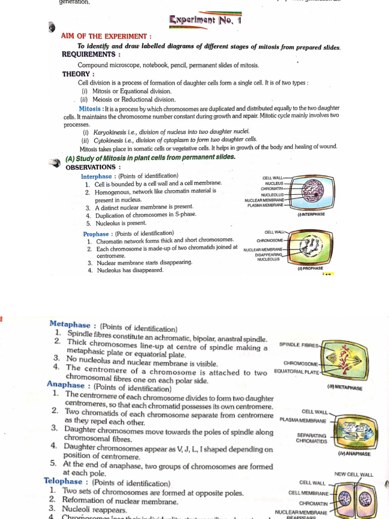 Write-Up For The Practical Journal - STD 10 Biology | PDF
