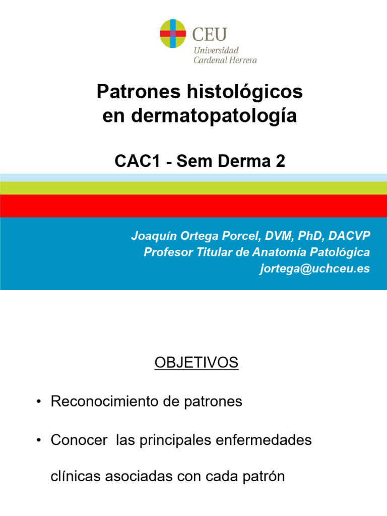 CAC1 - Patrones en Dermatopatología-24-25 | PDF | Inflamación | Enfermedades y trastornos