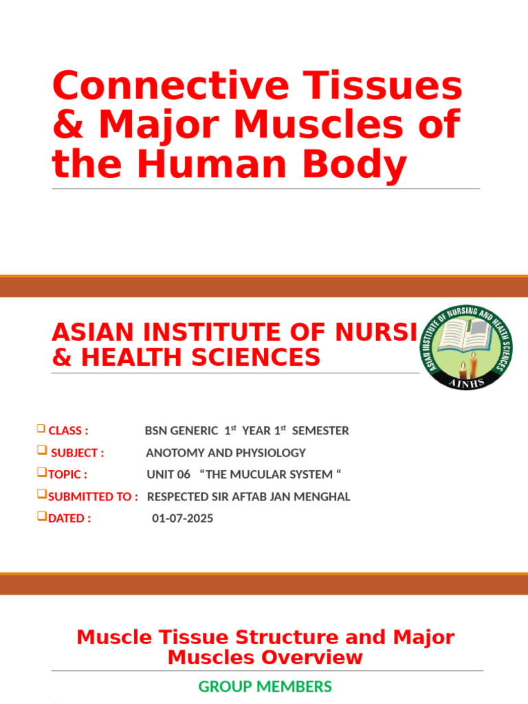 Connective Tissues & Major Muscles of The Human | PDF | Arm | Human Leg
