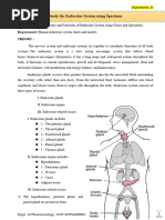 Endocrine System | PDF | Endocrine System | Hormone