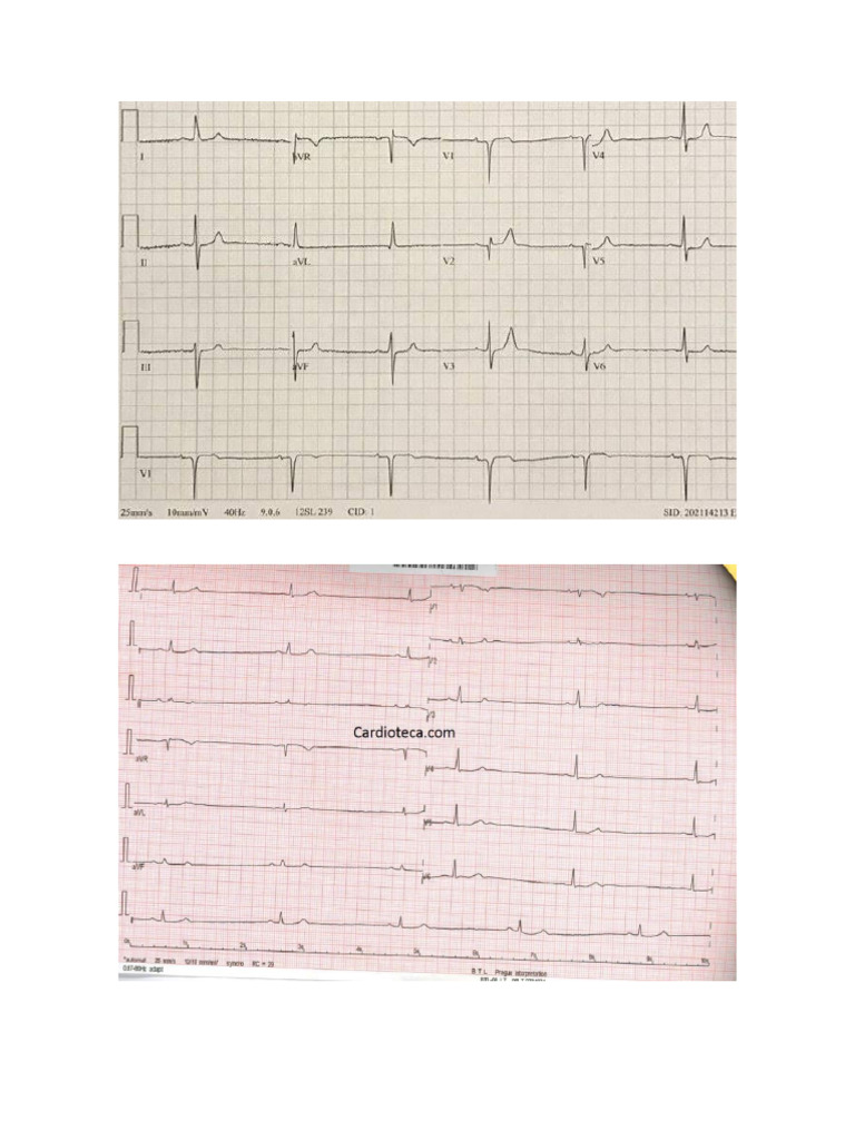 Electros de Practica | PDF