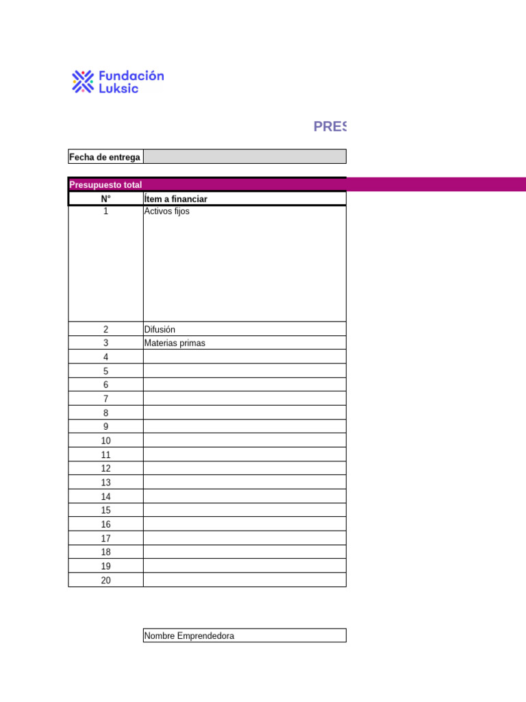 Formato Presupuesto y Rendición - Despega Mujer 4 | PDF