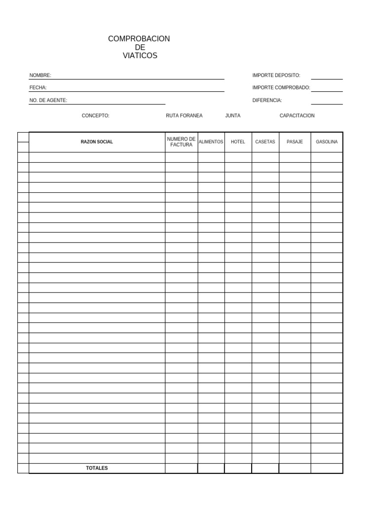 Comprobación De Viáticos Y Gastos Pdf