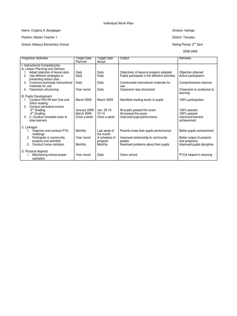 Individual Work Plan | PDF