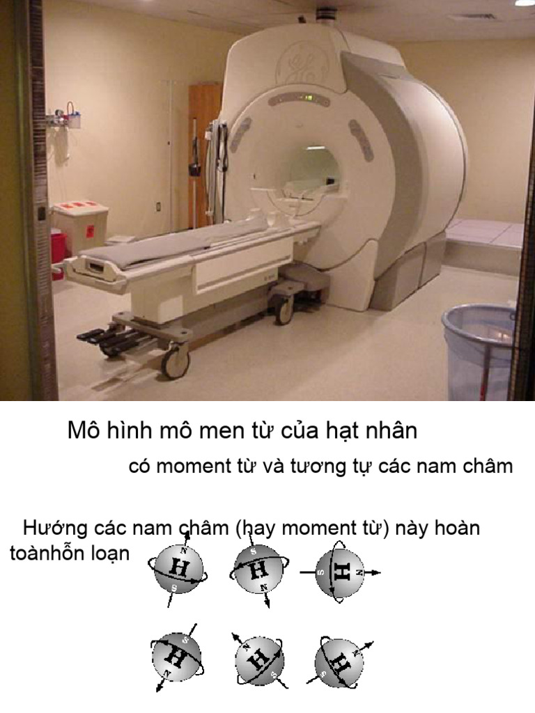 MRI For Students | PDF