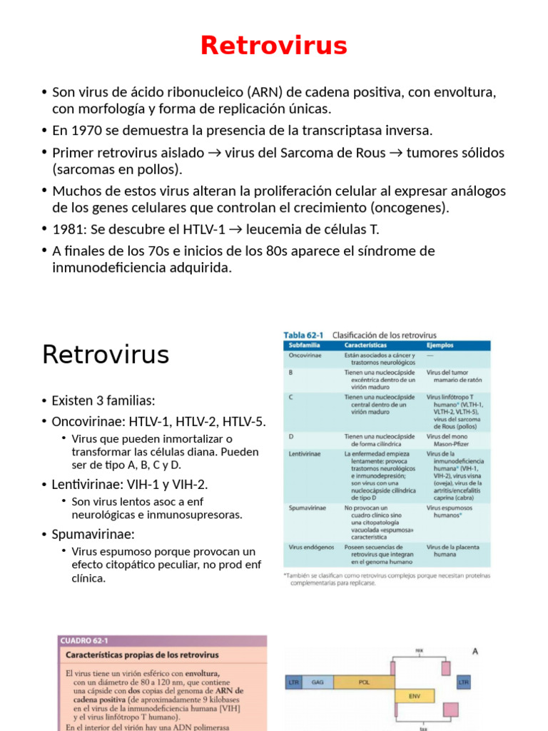 Biología y Patogénesis de Retrovirus | PDF | VIH | Retrovirus