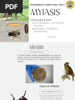 Miasis Cutánea: Diagnóstico y Tratamiento | PDF | Especialidades ...