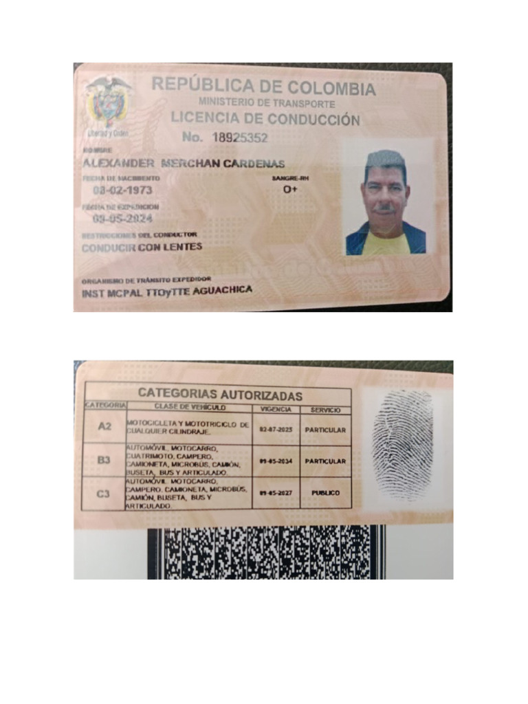 Licencia Alexander Merchan | PDF