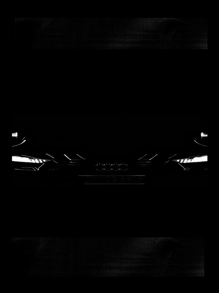 Belge-WPS Office1 | PDF