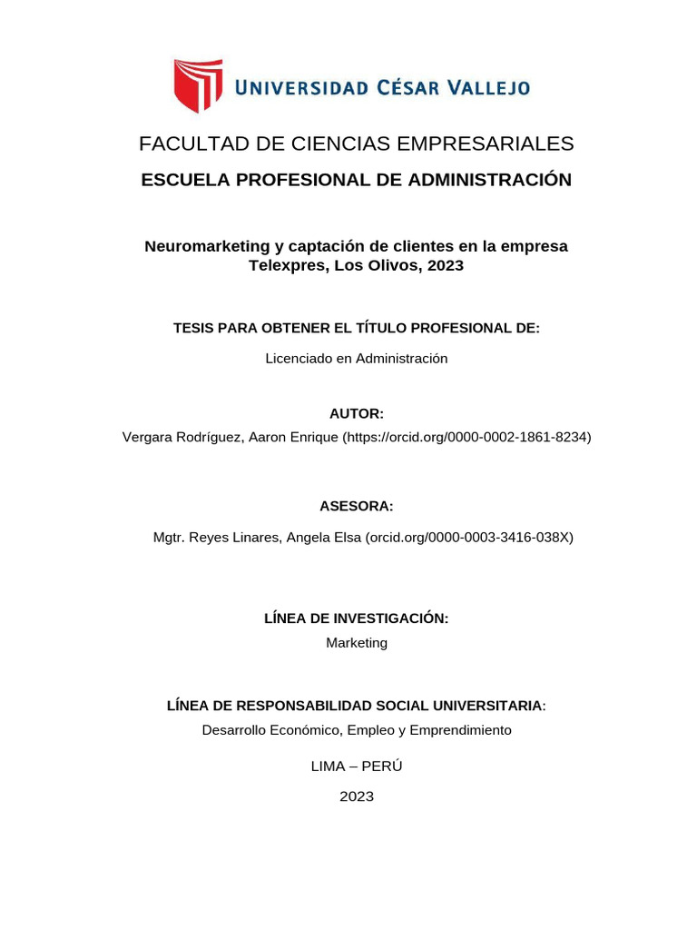 Aaron PI Culminado | PDF | Marketing | Producto (Negocio)