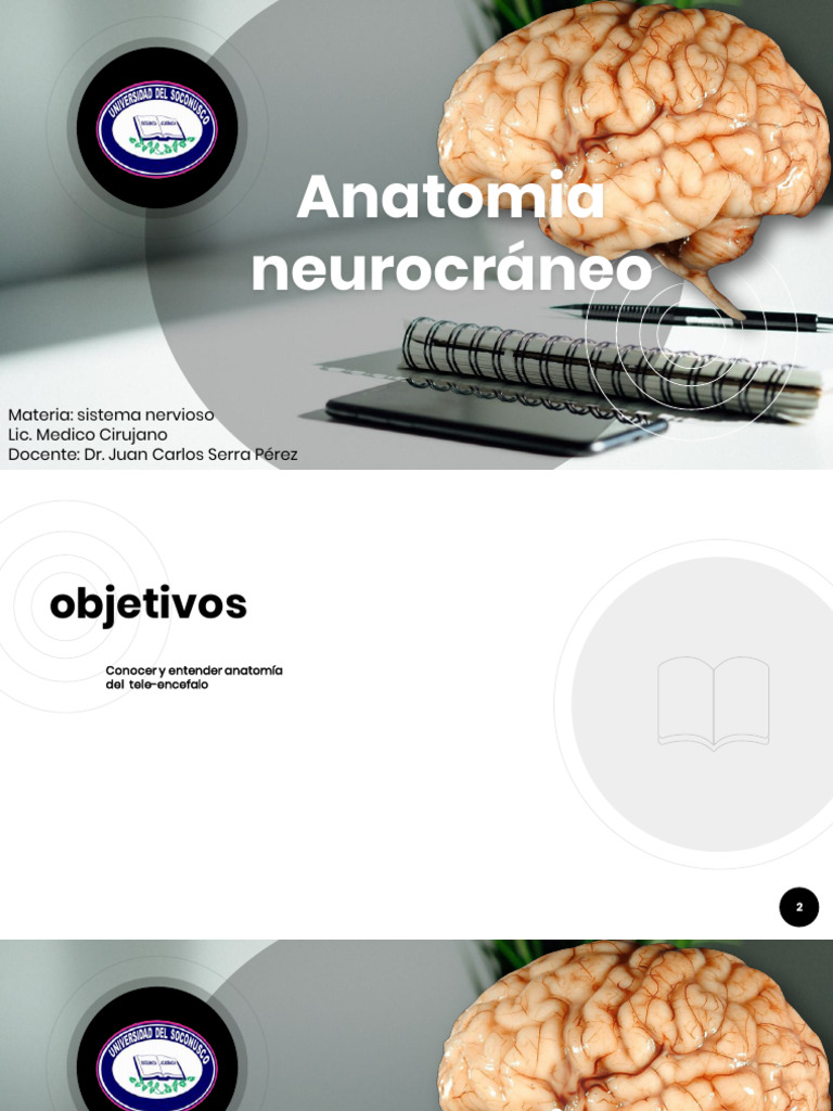 Anatomia Neurocraneo | PDF | Cráneo | Cerebro