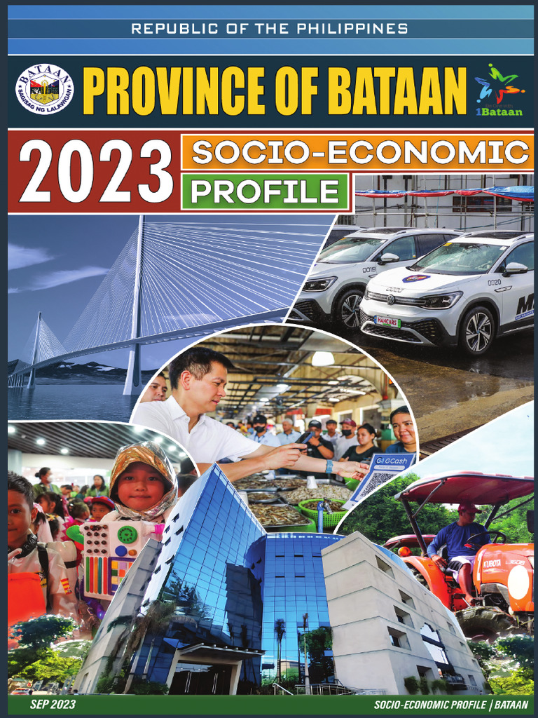 Bataan Socio-Economic Profile 2023 | PDF | Hospital