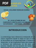 Etapas del desarrollo embrionario del pollo | PDF | Embrión | Huevo