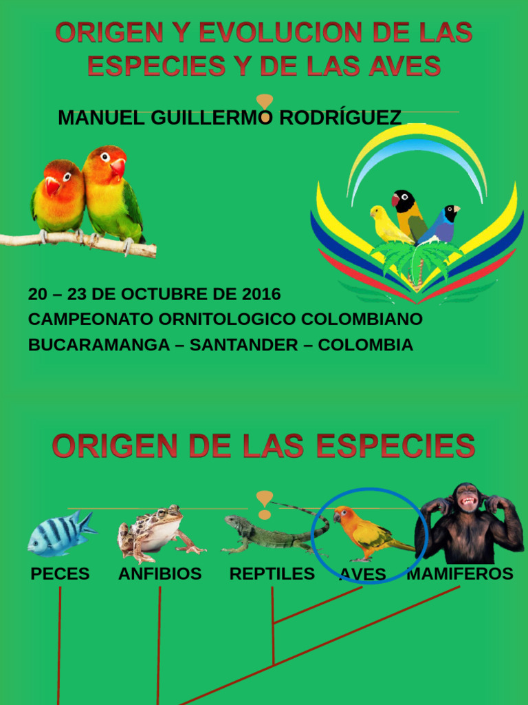 Origen y Evolucion de Las Especies y de Las Aves | PDF | Aves | Dinosaurios