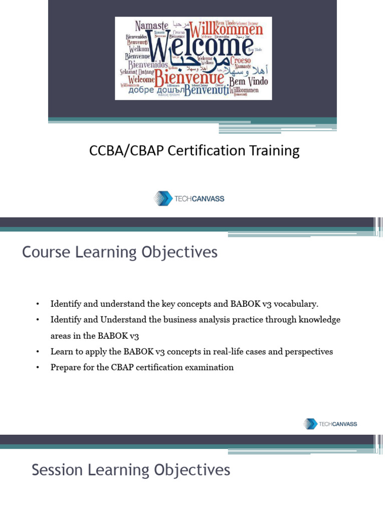 01 CCBA CBAP Certification Introduction | PDF | Business Analysis | Cognition