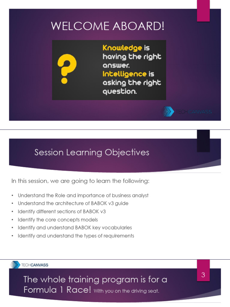 02 Ccba Cbap Introduction To Babok | PDF | Business Analysis | Risk