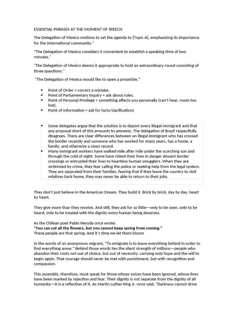 Essential Phrases for Diplomatic Speech | PDF