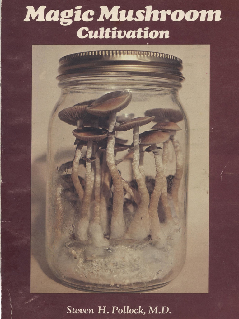 2nd Ed Pollock Book | PDF