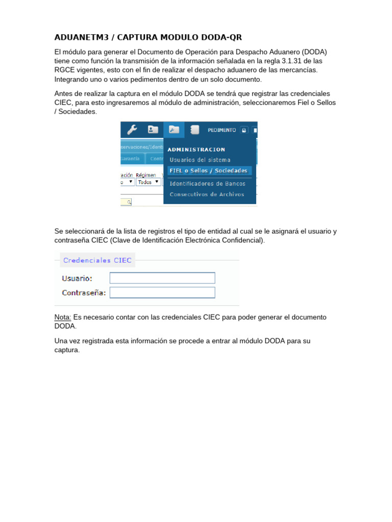 Manual ADUANETM3 DODA | PDF | Informática