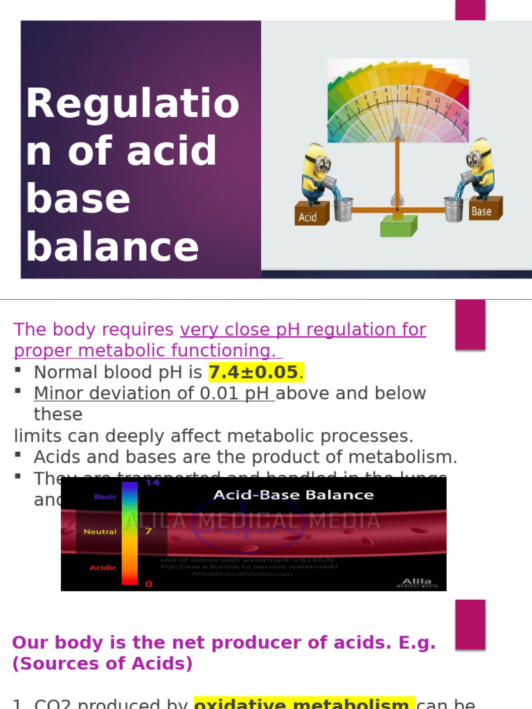 Acid Base Regulation | PDF | Buffer Solution | Kidney