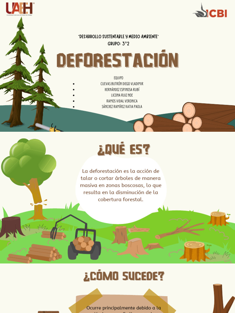 Deforestación: causas y consecuencias | PDF | Los bosques | Deforestación