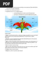 Parts of A Flower and Its Functions | PDF | Flowers | Petal