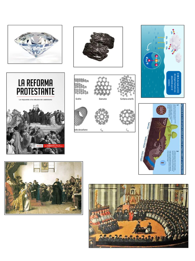 Ciencias y Sociales | PDF