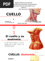 Anatomía del Cuello y Glándulas | PDF | Laringe | Tiroides
