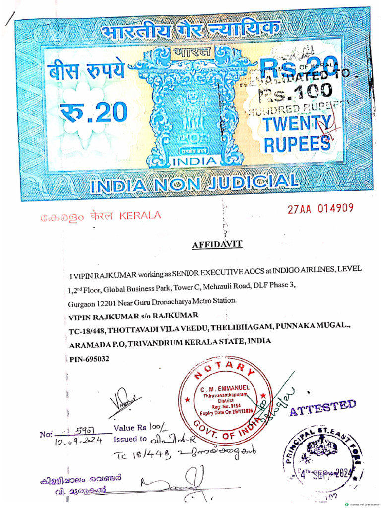 Vipin Indigo Self Declaration | PDF