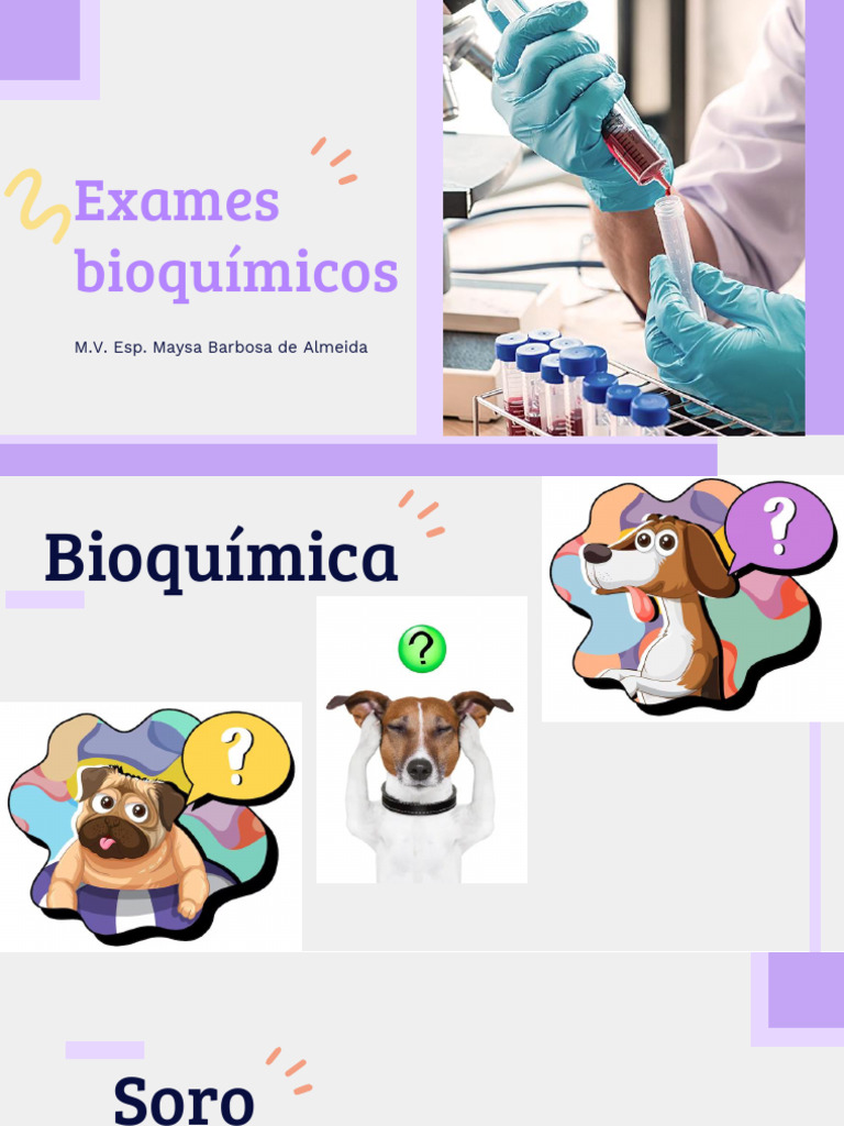 Exames Bioquímicos: Avaliação Hepática e Renal | PDF | Bile | Pâncreas