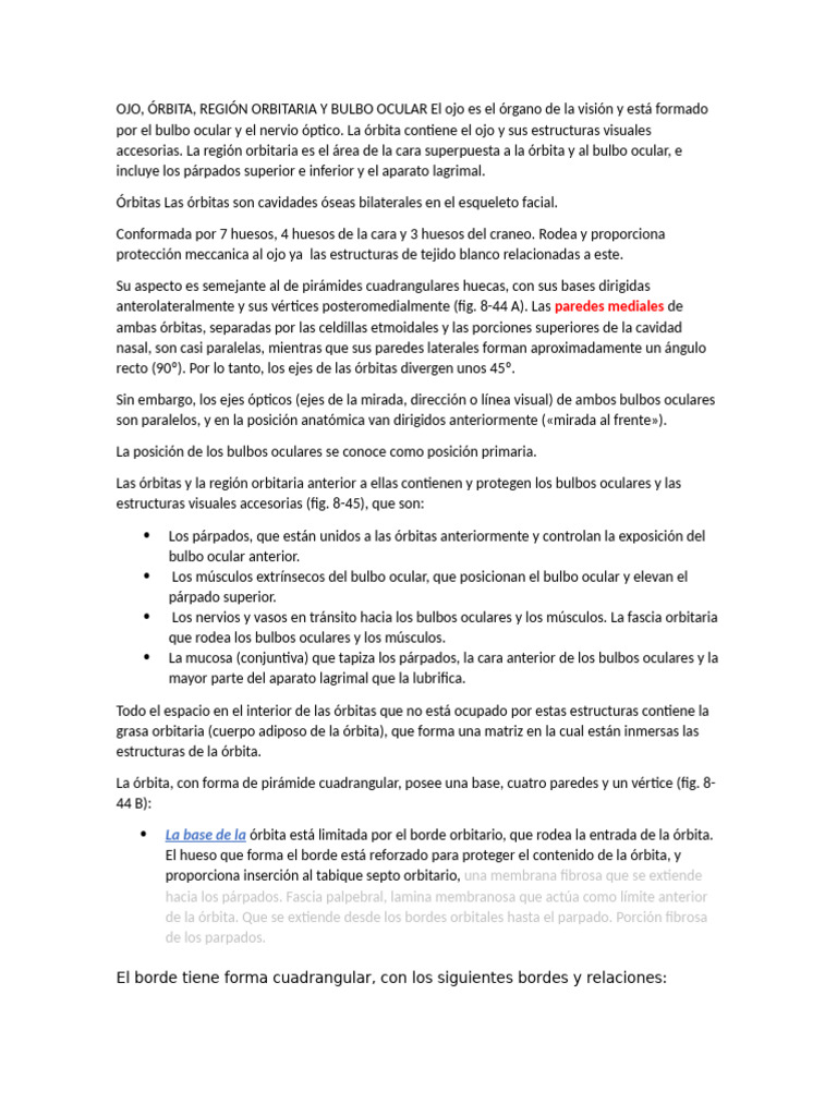 Anatomía y Función de la Órbita Ocular | PDF | Anatomía de los primates ...