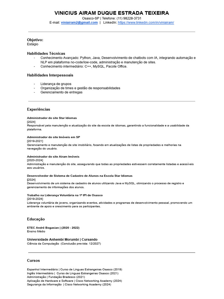 CV Vinicius Airam | PDF