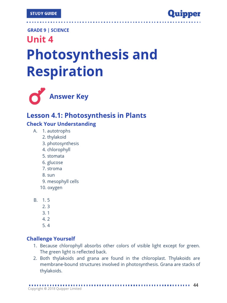 Science 9 Unit 4 Photosynthesis and Respiration (Answer Key) | PDF ...