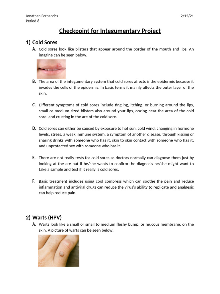 Checkpoint For Integumentary Project | PDF | Diseases And Disorders ...